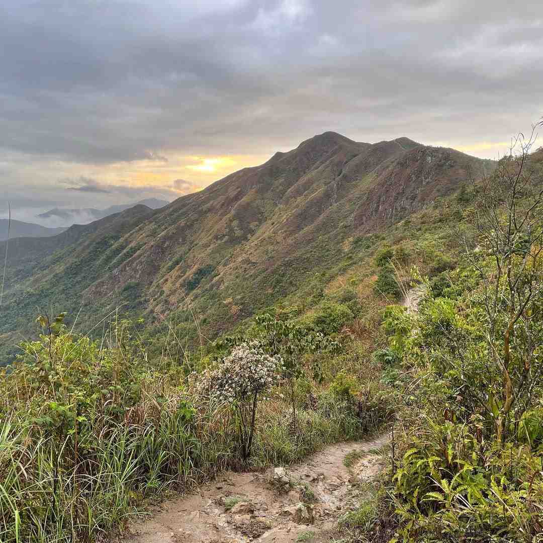 The Wilson Trail: A Runner's Guide – MyTrail.Run